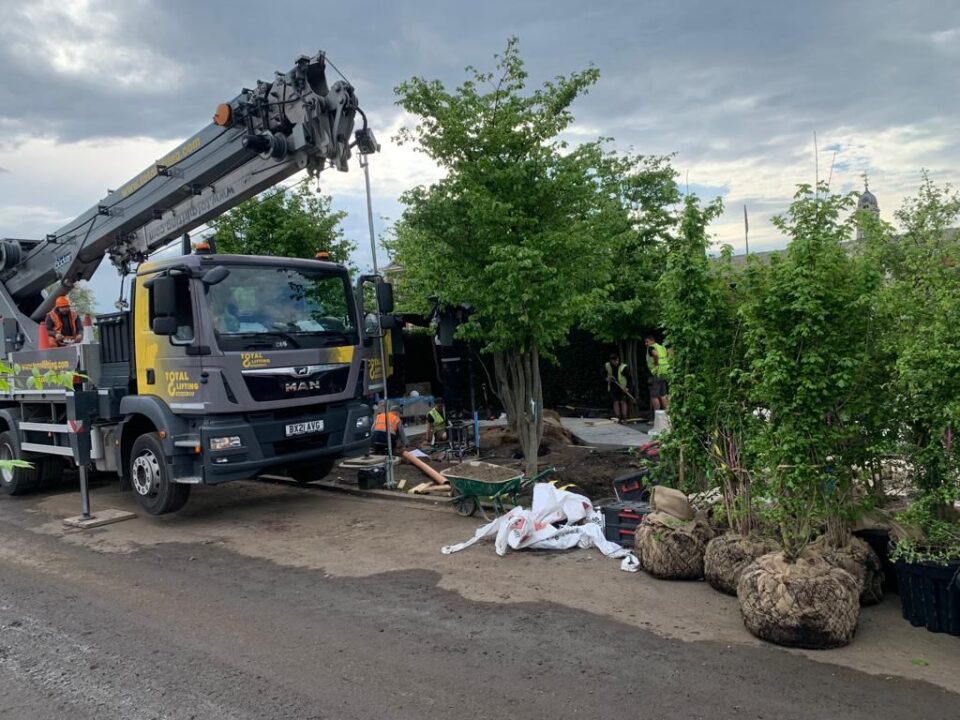 Tree Lifting Made Easy with Mobile Cranes | Total Lifting Services
